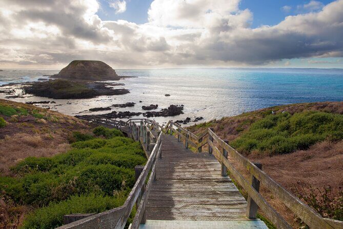 Small Group Tour of 2-7pax in Phillip Island & Churchill Island - Potential Drawbacks and Considerations