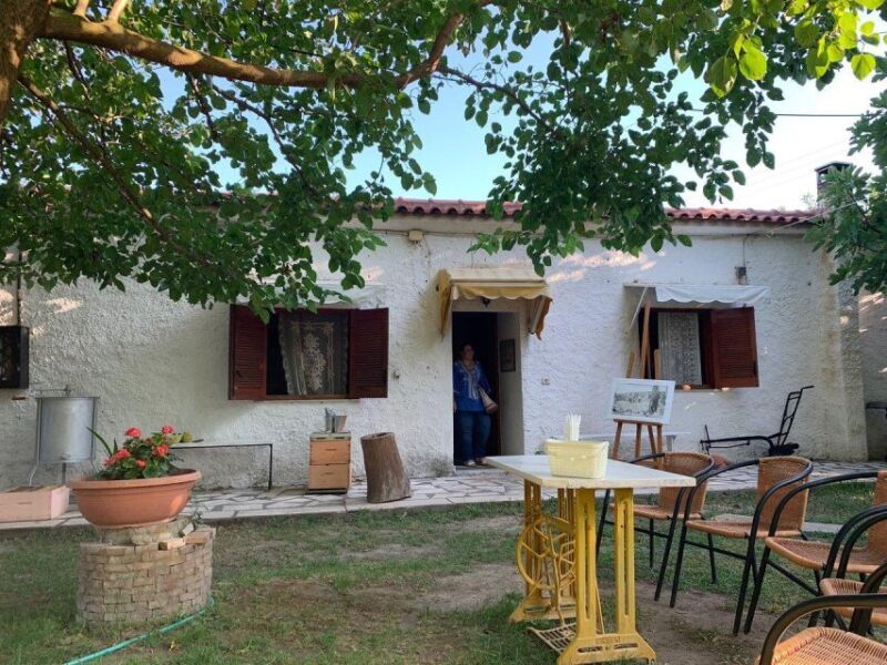 Small Group Tour of Ancient Olympia and Local Food Tasting - FAQ