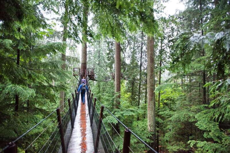 Small group tour of Capilano Bridge & Grouse Mountain - Authentic Experiences and Real Traveler Feedback