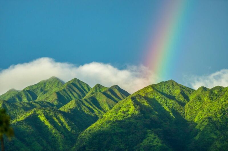 Small Group Tour of Honolulu Scenic Vistas with Sunset - Key Points
