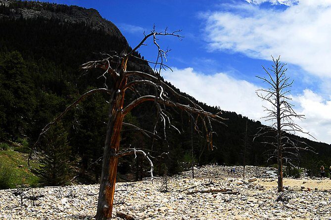Small-Group Tour of the Rocky Mountain National Park from Denver - Frequently Asked Questions