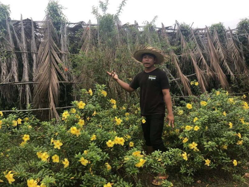 Small Group Tour: One Day Phnom Penh to Kampot & Kep - Final Thoughts