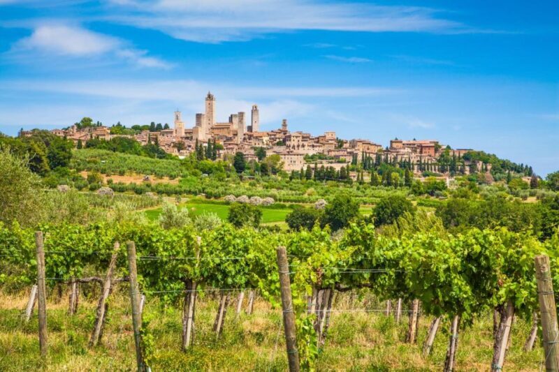 Small group tour: San Gimignano, Siena & Chianti - Exploring Tuscany’s Medieval Treasures: San Gimignano, Siena & Chianti on a Small-Group Tour