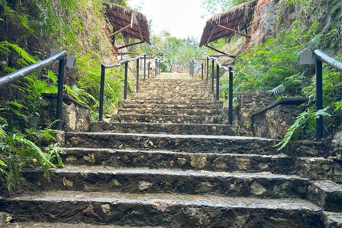 Small group tour to Chichen Itza early access + Cenote + Coba - Who Should Take This Tour?