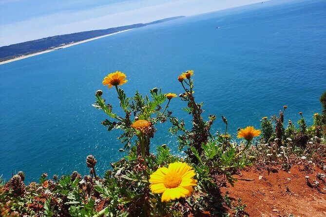 Small Group Tour to Nazaré and Obidos from Lisbon - A Detailed Look at the Tour Experience