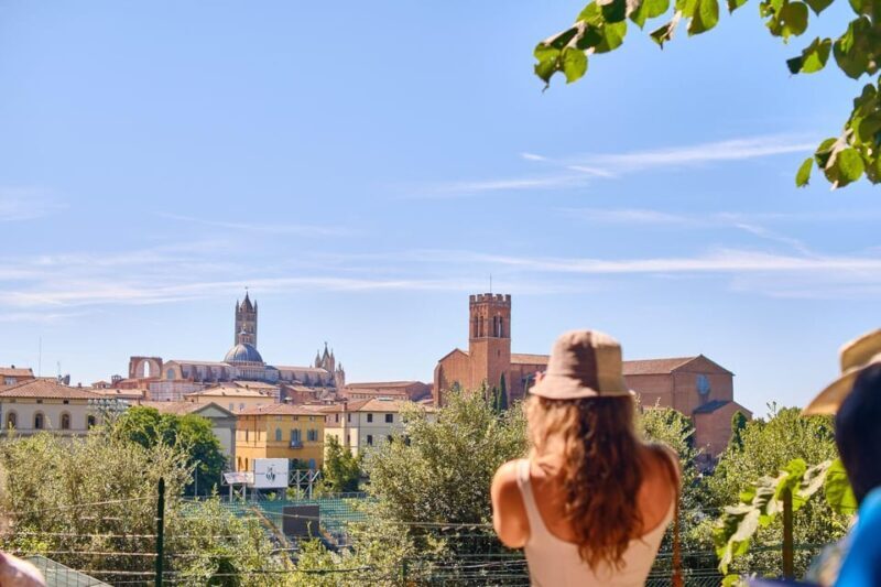 Small Group Tour to Siena & San Gimignano with Chianti Wine - Discovering the Charm of Tuscany