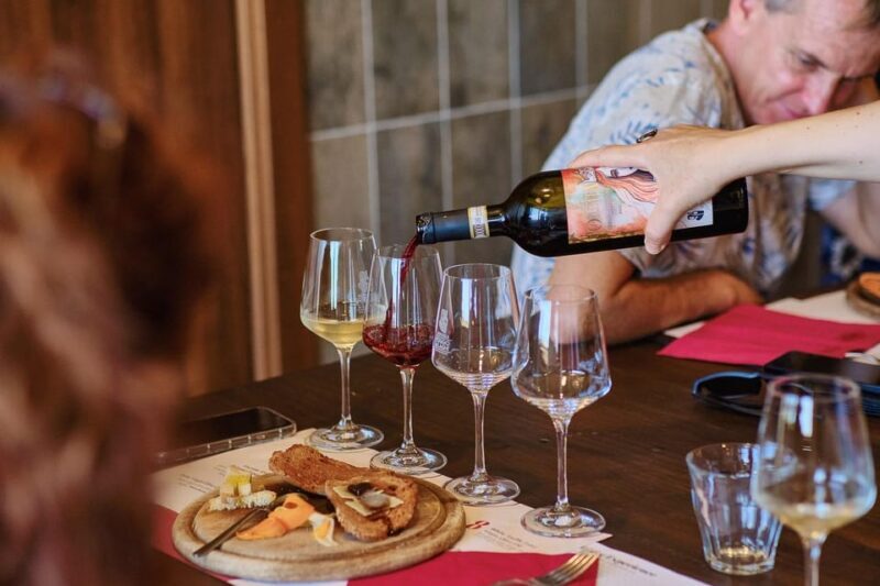 Small Group Tour to Siena & San Gimignano with Chianti Wine - San Gimignano: The Medieval Manhattan