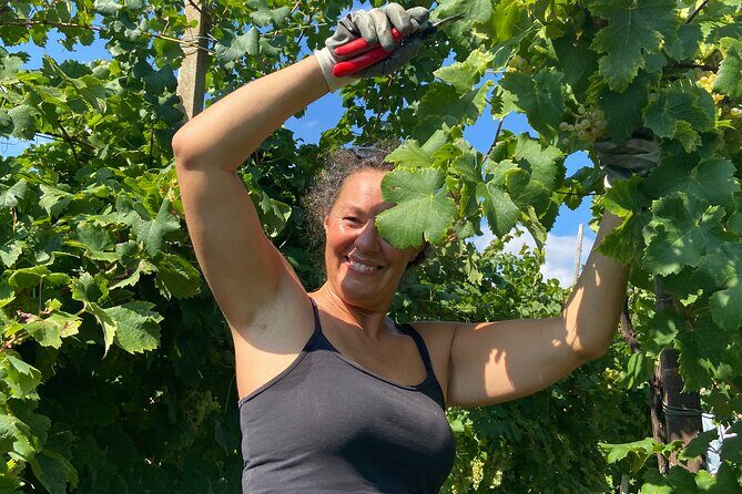 Small Group Tour with Prosecco Wine Tasting from Venice - Who Will Love This Tour?