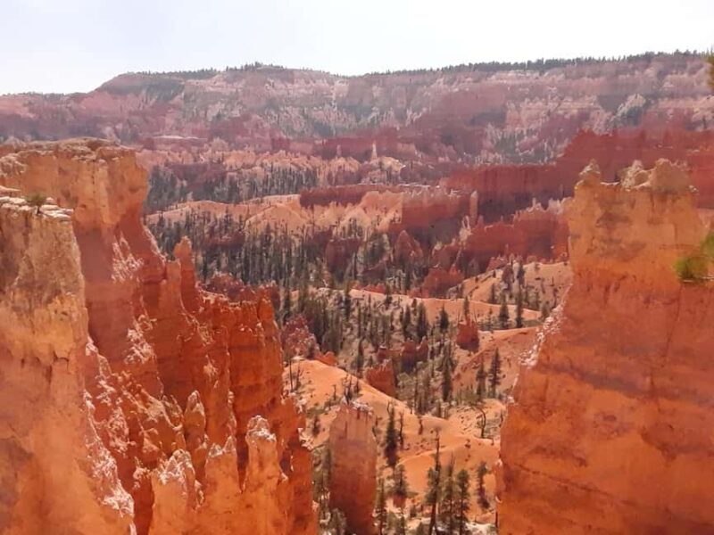 Small Group Tour Zion & Bryce Canyon National from Las Vegas - Small Group Tour Zion & Bryce Canyon National from Las Vegas