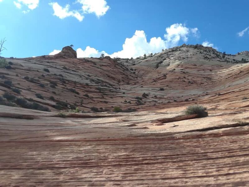 Small Group Tour Zion & Bryce Canyon National from Las Vegas - Authentic Experiences & What Real Travelers Say