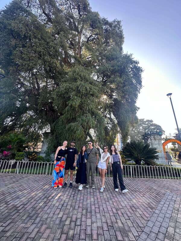 Small group tours: Hierve el Agua, Mezcal, Teotitlán, Mitla and Tule. - Transportation, Guides, and Group Size
