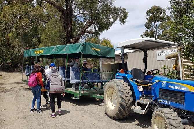 Small-Group Tractor Tour at Rayners Orchard from Melbourne - What to Expect from the Rayners Orchard Tractor Tour