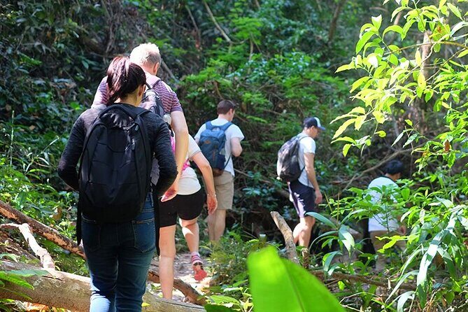 Small Group : Trekking Trip in Chiang Mai (Doi Suthep Area) with Market Tour - An In-Depth Look at the Experience