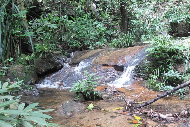Small Group : Trekking Trip in Chiang Mai (Doi Suthep Area) with Market Tour - The Value Proposition