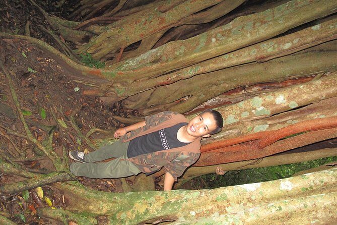 Small Group : Trekking Trip in Chiang Mai (Doi Suthep Area) with Market Tour - FAQs