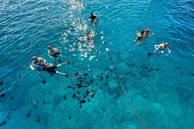 Small Group Turtle Canyon Snorkel in Waikiki - Key Points