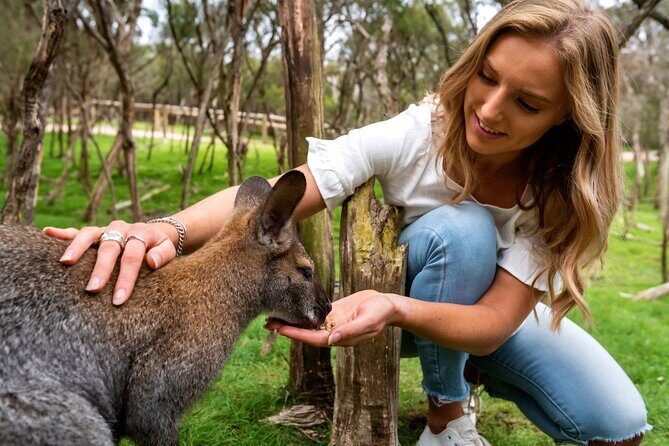 Small Group: Ultimate Mornington Peninsula Food and Wine Day - FAQs