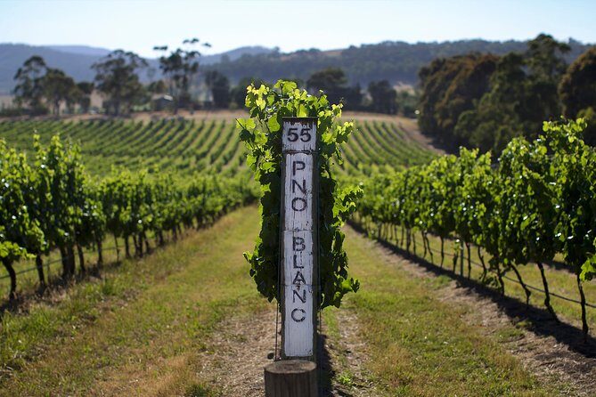 Small Group: Ultimate Yarra Valley Food and Wine - The Experience in Context