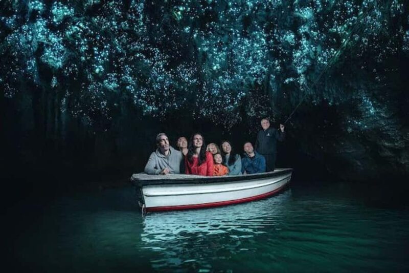 Small-Group Waitomo Glowworm Caves Day Tour from Auckland - Key Points