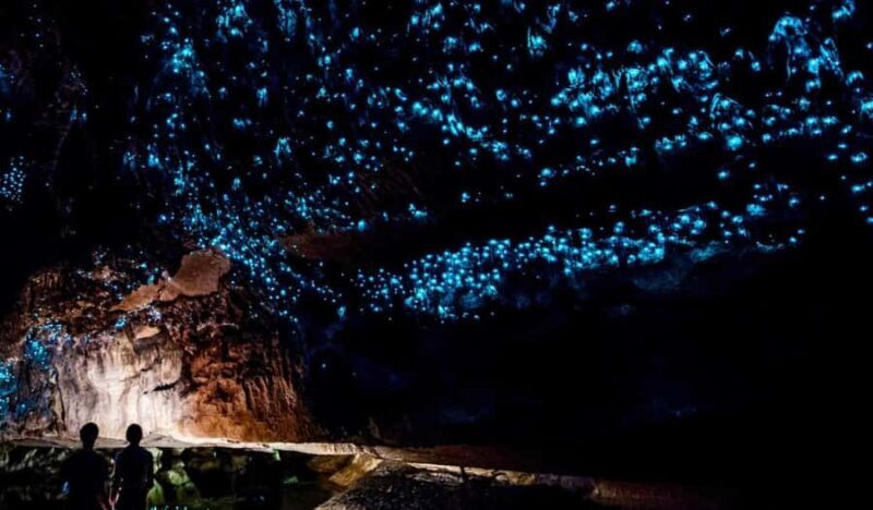 Small-Group Waitomo Glowworm Caves Day Tour from Auckland - Is This Tour Worth It?