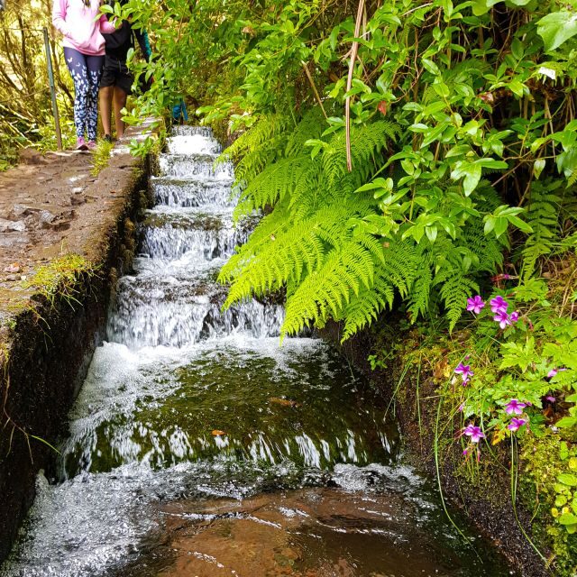 Small Group Walks Rabaçal 25 Fontes - What to Bring & Wear