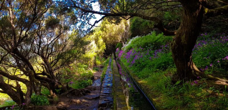 Small Group Walks Rabaçal 25 Fontes - The Verdict: Is This Tour Worth It?