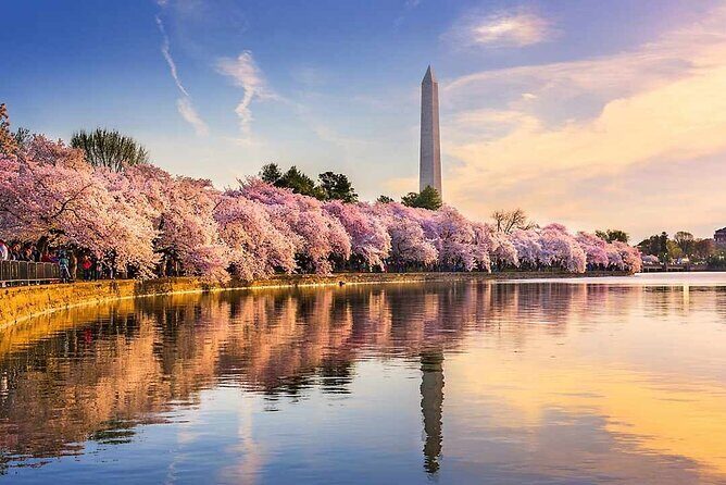 Small Group Washington D.C. Cherry Blossom 1-Day Experience Tour - Who Is This Tour Best For?