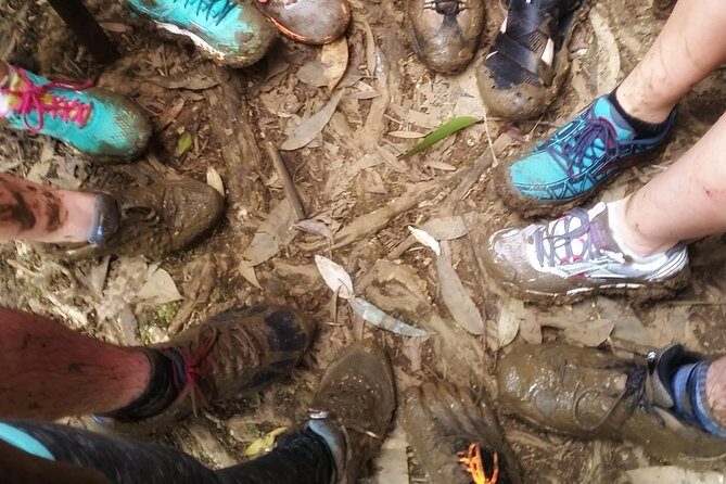 Small Group Waterfall and Rainforest Hiking Adventure on Maui - The Experience: A Deep Dive Into the Maui Rainforest