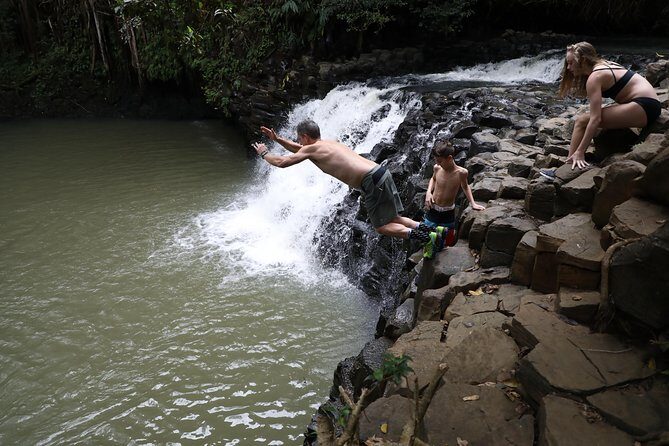 Small Group Waterfall and Rainforest Hiking Adventure on Maui - Considerations for Potential Participants