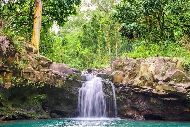 Small Group Waterfall and Rainforest Hiking Adventure on Maui - FAQ