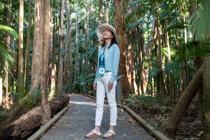 Small Group Waterfall Wetlands+ Skyrail All Inclusive from Cairns - Discover Cairns’ Natural Wonders: Waterfalls, Wetlands, and Skyrail All-Inclusive Tour