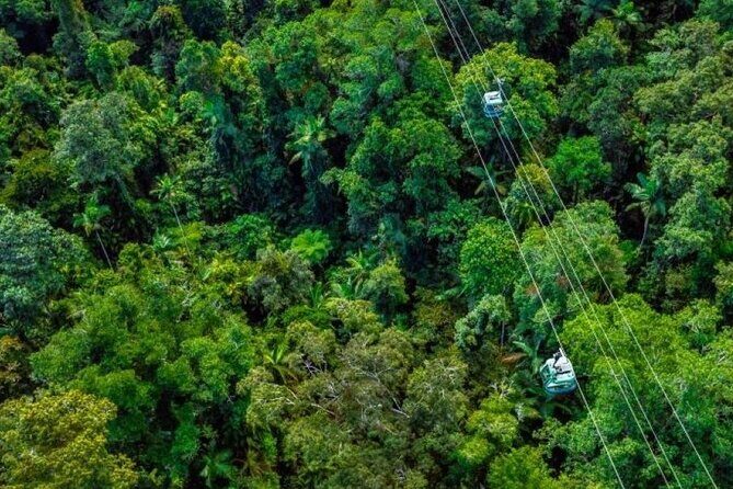 Small Group Waterfall Wetlands+ Skyrail All Inclusive from Cairns - Exploring the Full Itinerary: What You Can Expect