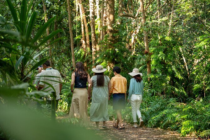 Small Group Waterfall Wetlands+ Skyrail All Inclusive from Cairns - The Sum Up