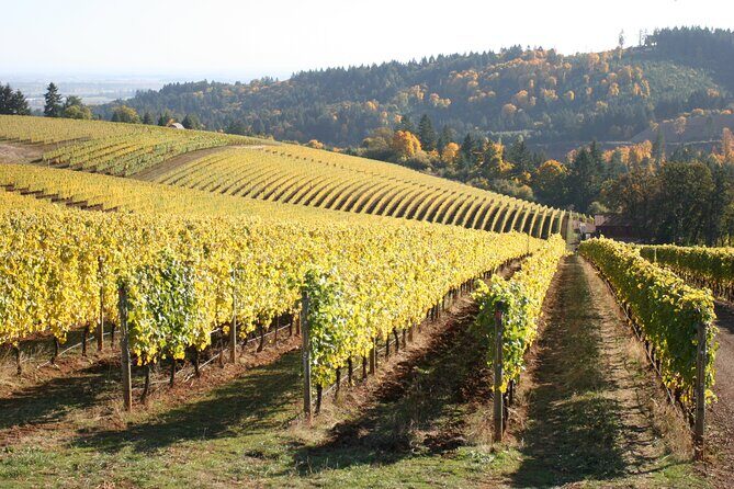 Small Group: Willamette Valley Wine Tour From Portland (Tasting Fees Included) - Frequently Asked Questions