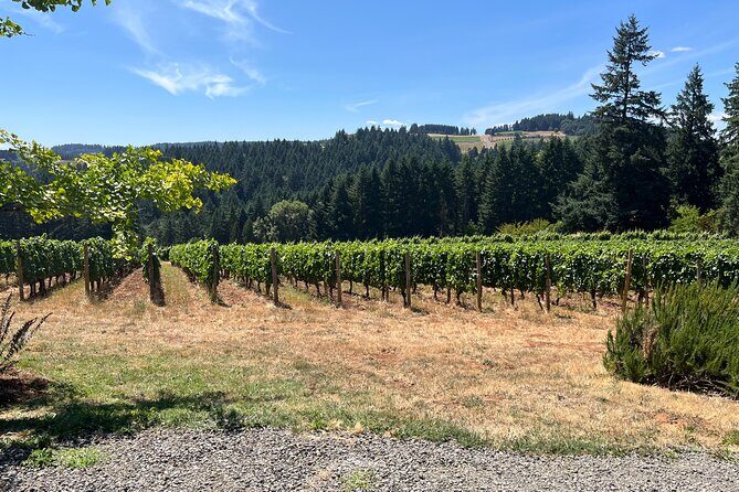 Small-Group Willamette Valley Wine Tour with Tastings & Lunch - What Past Travelers Say (Based on Reviews)