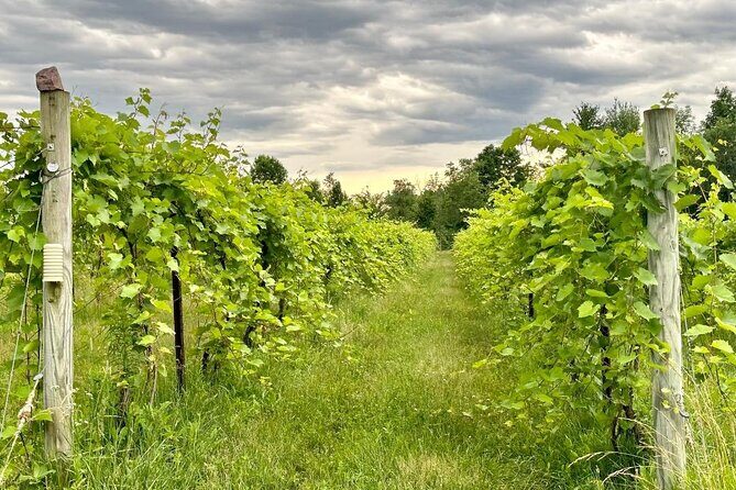Small Group Wine & Cider Tour in Vermont - Key Points