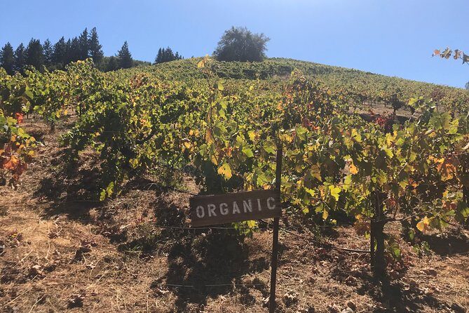 Small-Group Wine Country Tour from San Francisco with Tastings - Why This Tour Works