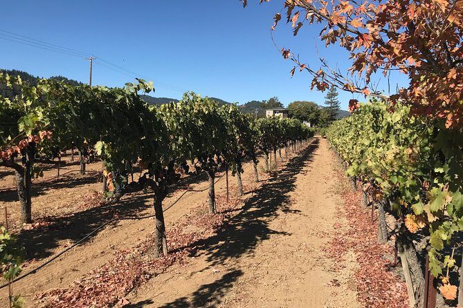 Small-Group Wine Country Tour from San Francisco with Tastings - FAQ