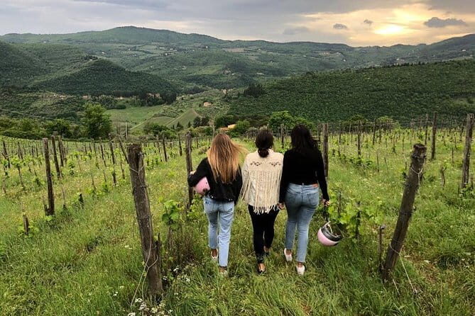 Small Group Wine Tasting in Tuscany with Vineyard Visit - A Detailed Look at the Experience