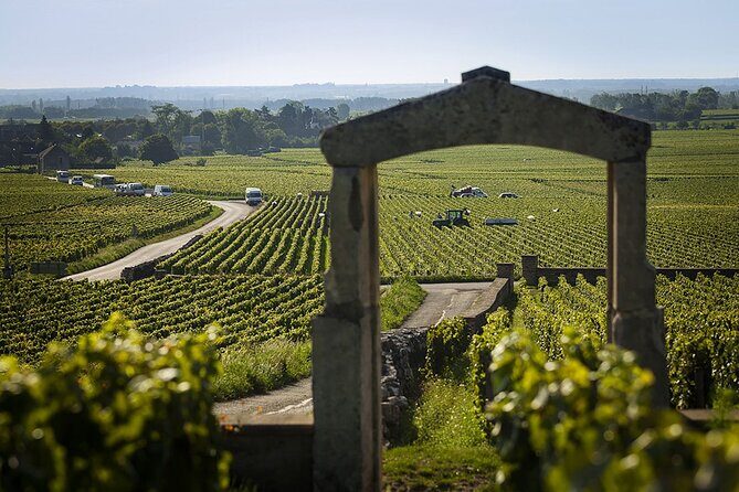 Small Group Wine Tasting Tour Côte de Beaune and Côte de Nuits - Final Thoughts