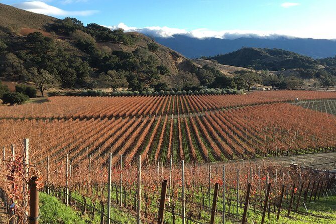 Small-Group Wine Tasting Tour of Santa Barbara Wine Country - The Sum Up