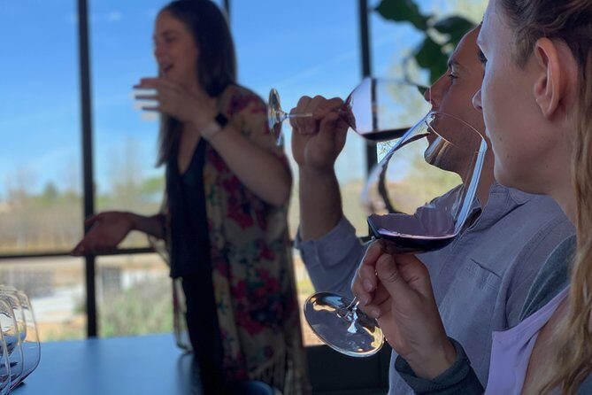 Small-Group Wine Tour to Private Locations in Santa Barbara - Final thoughts