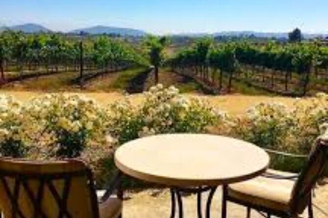Small Group Wine Tour to Temecula from Los Angeles - An In-Depth Look at the Tour Experience