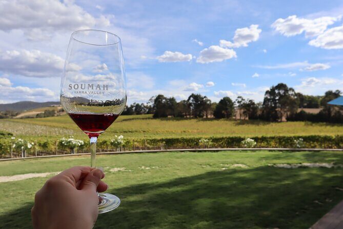 Small Group Yarra Valley: Redwoods Forest & Premium Wine Tour - Returning to Melbourne