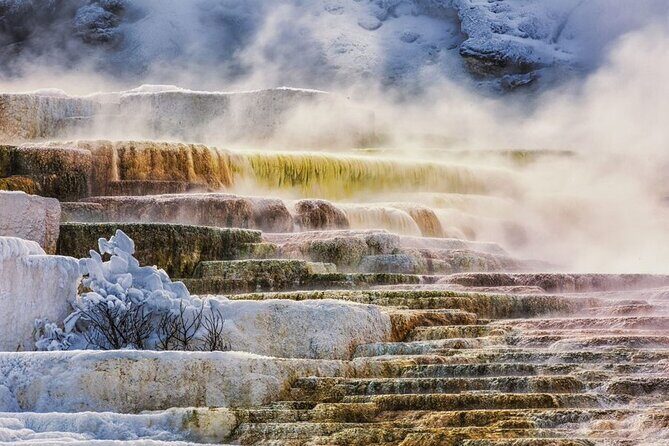Small Group Yellowstone&Grand Teton 4-Day Tour w/2 Night Cabins - Introduction