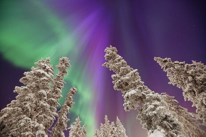 Small Group Yukon Aurora Viewing - FAQ: Your Questions About the Yukon Aurora Viewing Tour