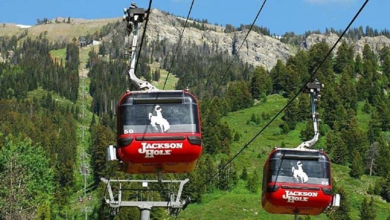 Small Group:4 or 5-Day Yellowstone&Grand Teton Tour from SLC - An In-Depth Look at the Itinerary