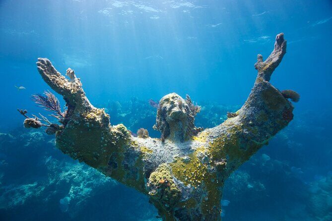 Small - Guided Shallow 2 Tank Dive Experience in Key Largo ALL GEAR INCLUDED - The Marine Life and Reef Highlights