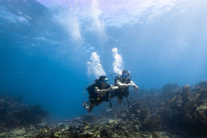 Small - Guided Shallow 2 Tank Dive Experience in Key Largo ALL GEAR INCLUDED - Practical Details and Why They Matter
