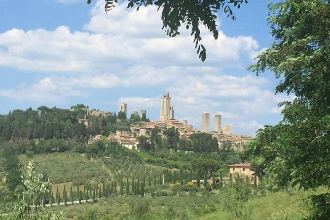 Small Intimate Group: San Gimignano - Two Wine Tours with lunch - Key Points: